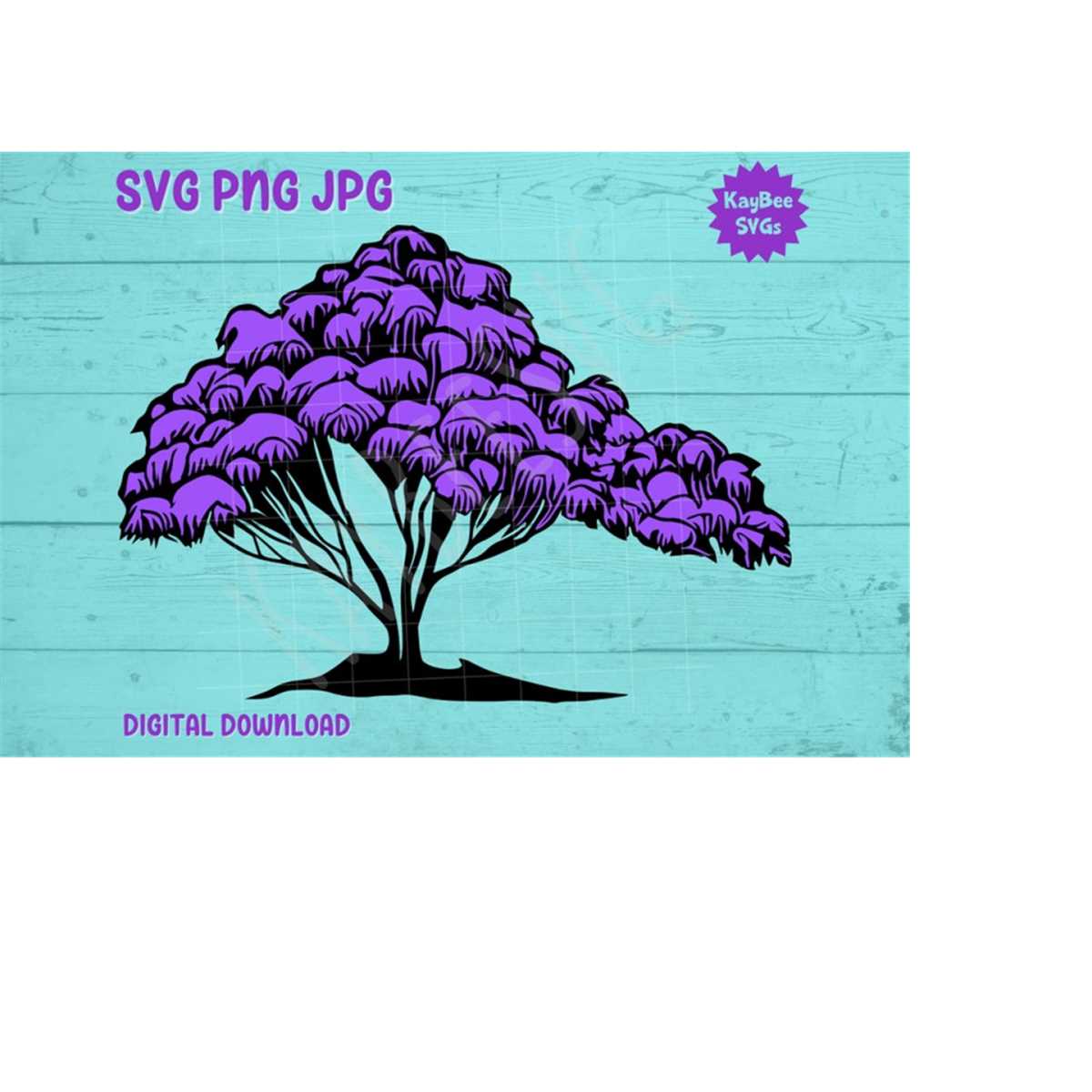 Jacaranda Tree SVG PNG JPG Clipart Digital Cut File Download | Inspire ...