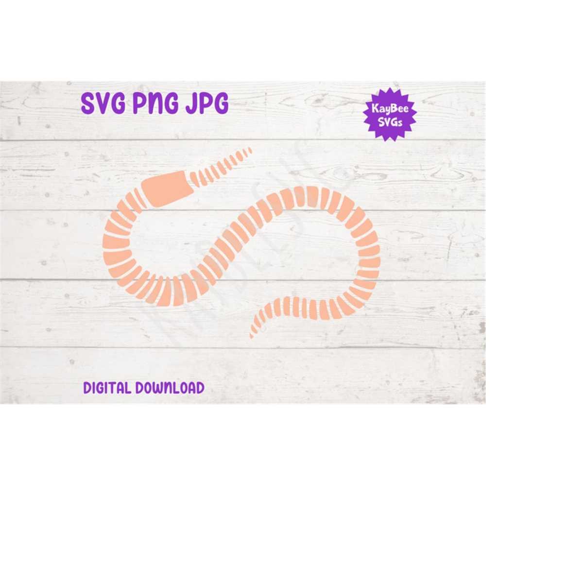 Earthworm SVG PNG Jpg Clipart Digital Cut File Download for - Inspire ...