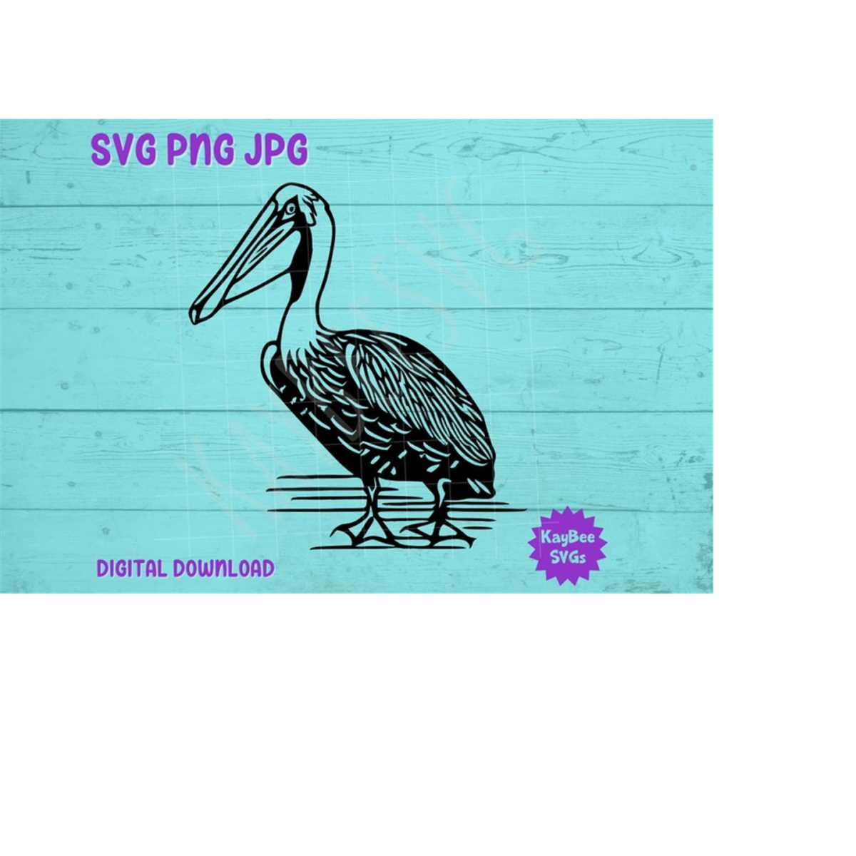 Pelican Bird SVG PNG JPG Clipart Digital Cut File Download f - Inspire ...