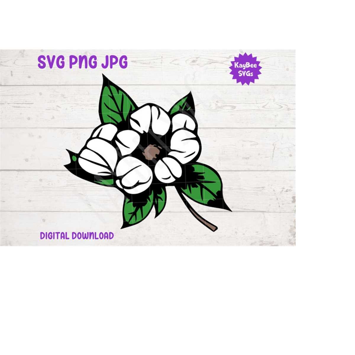 Cotton Blossom SVG PNG Jpg Clipart Digital Cut File Download - Inspire ...