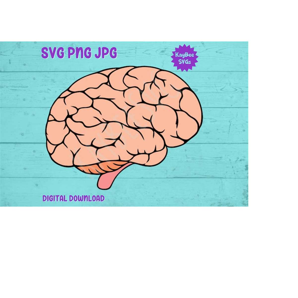 Brain SVG PNG JPG Clipart Digital Cut File Download for Cric - Inspire ...