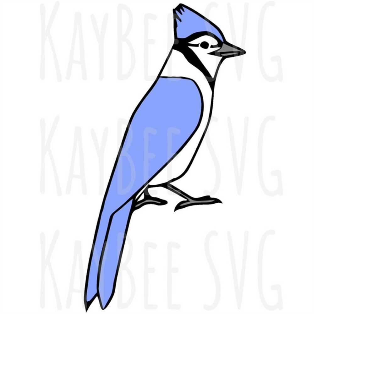 Blue Jay Bird SVG PNG JPG Clipart Digital Cut File Download - Inspire ...