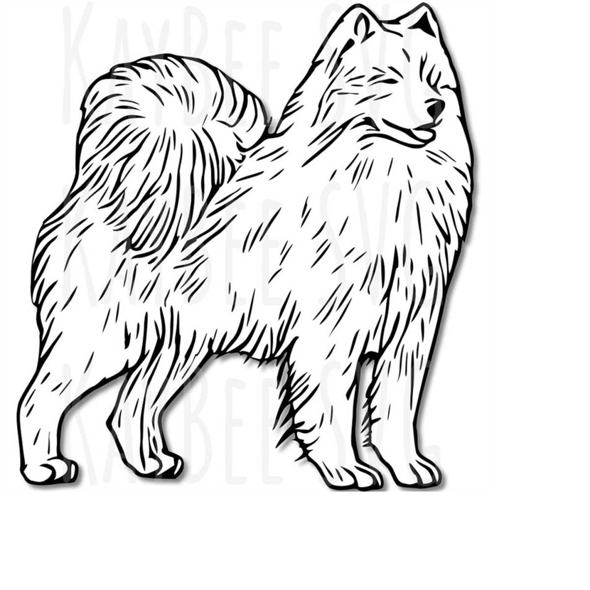 Samoyed Dog SVG PNG JPG Clipart Digital Cut File Download fo | Inspire ...
