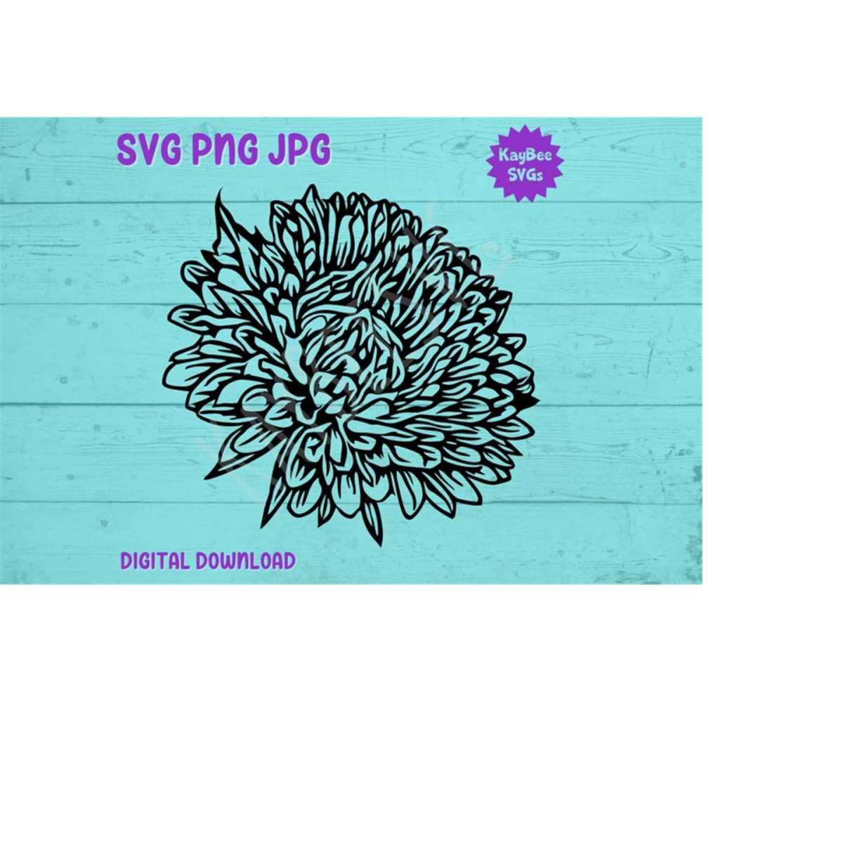 Chrysanthemum Mums Flower SVG PNG JPG Clipart Digital Cut Fi - Inspire ...