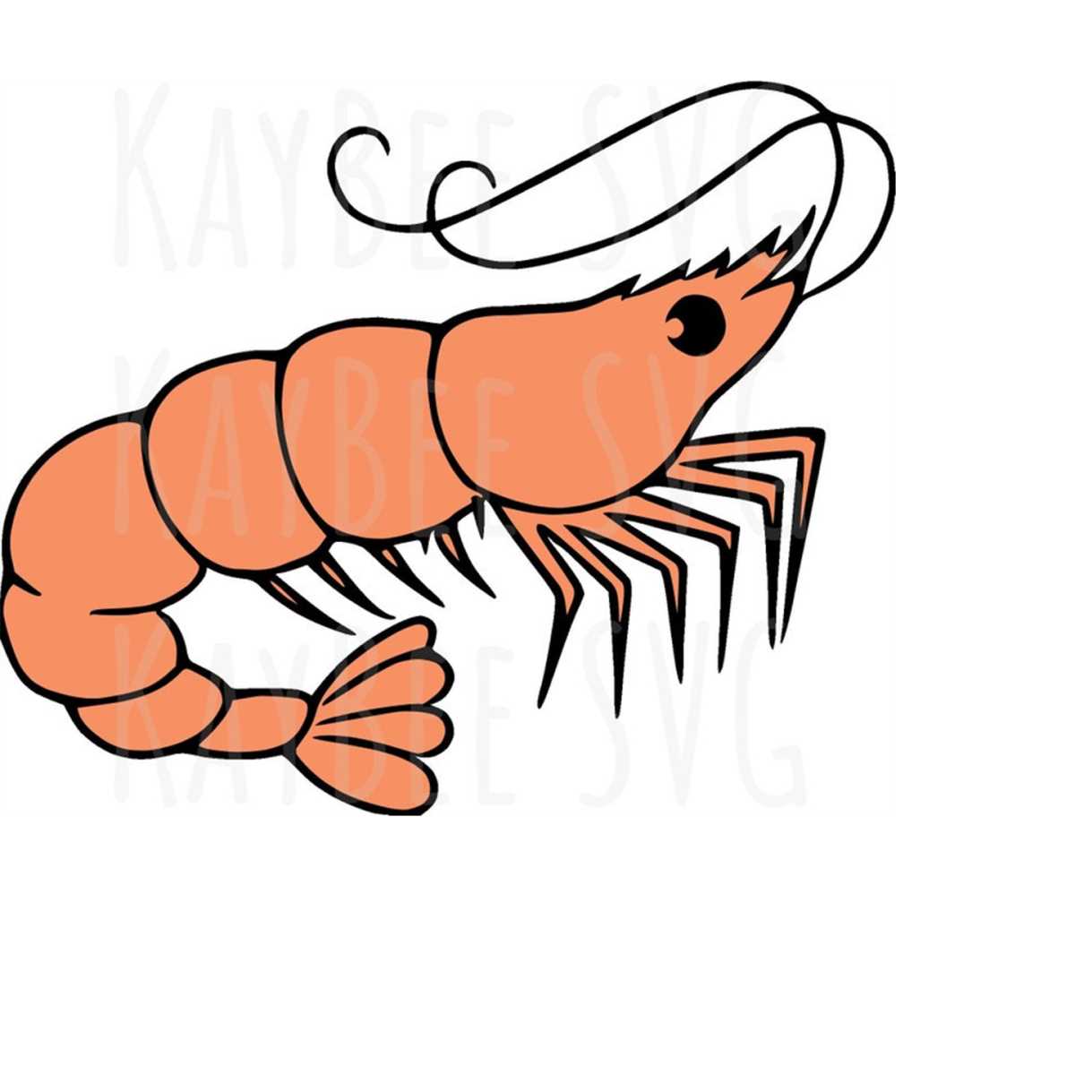 Shrimp SVG PNG JPG Clipart Digital Cut File Download for Cri - Inspire ...