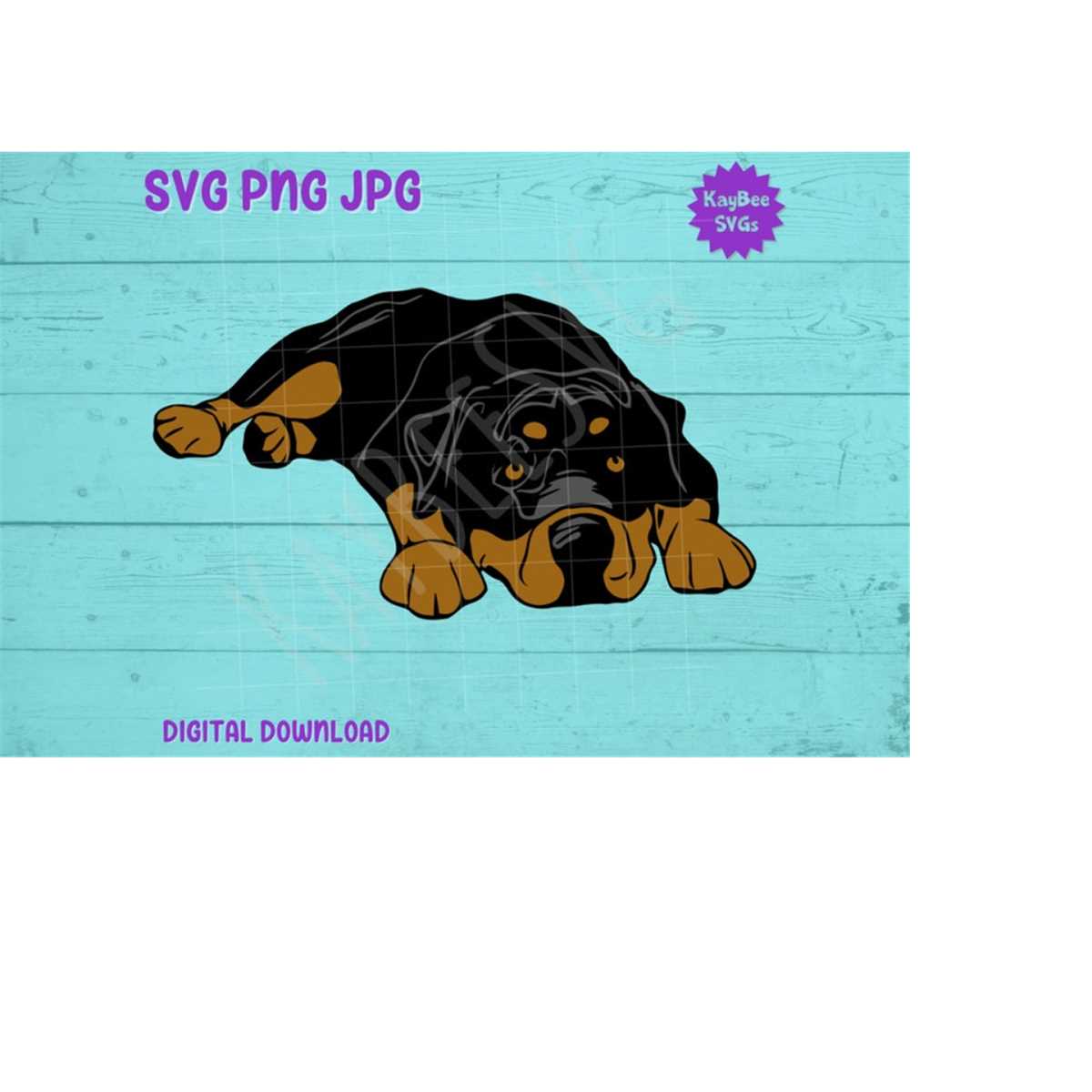 Rottweiler SVG PNG JPG Clipart Digital Cut File Download for - Inspire ...