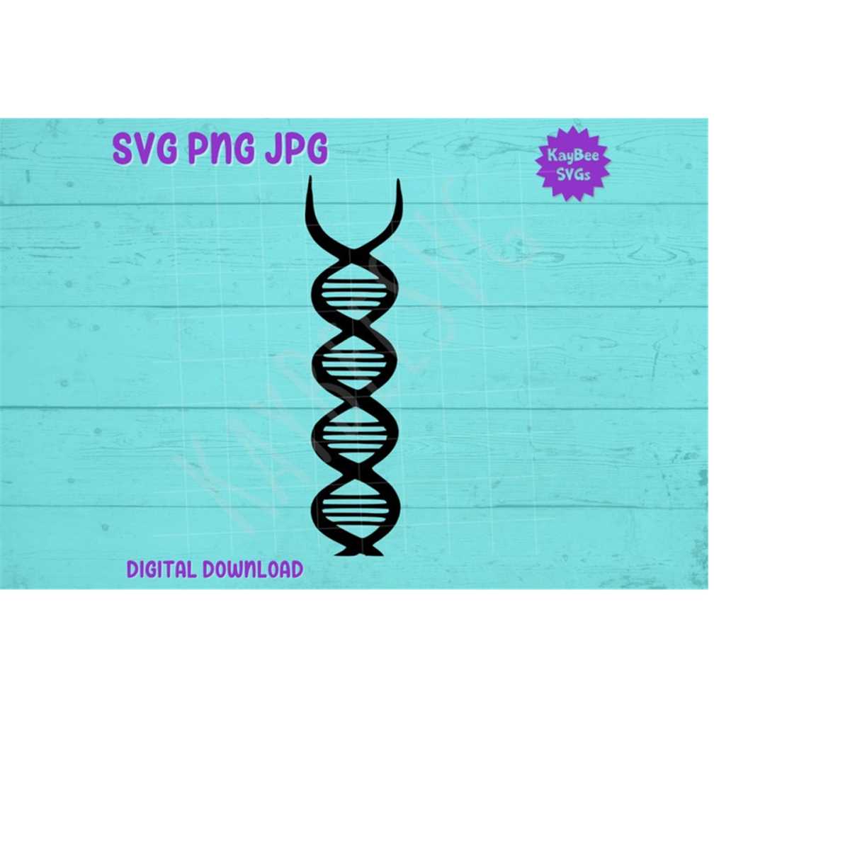 DNA Strand SVG PNG Jpg Clipart Digital Cut File Download for | Inspire ...