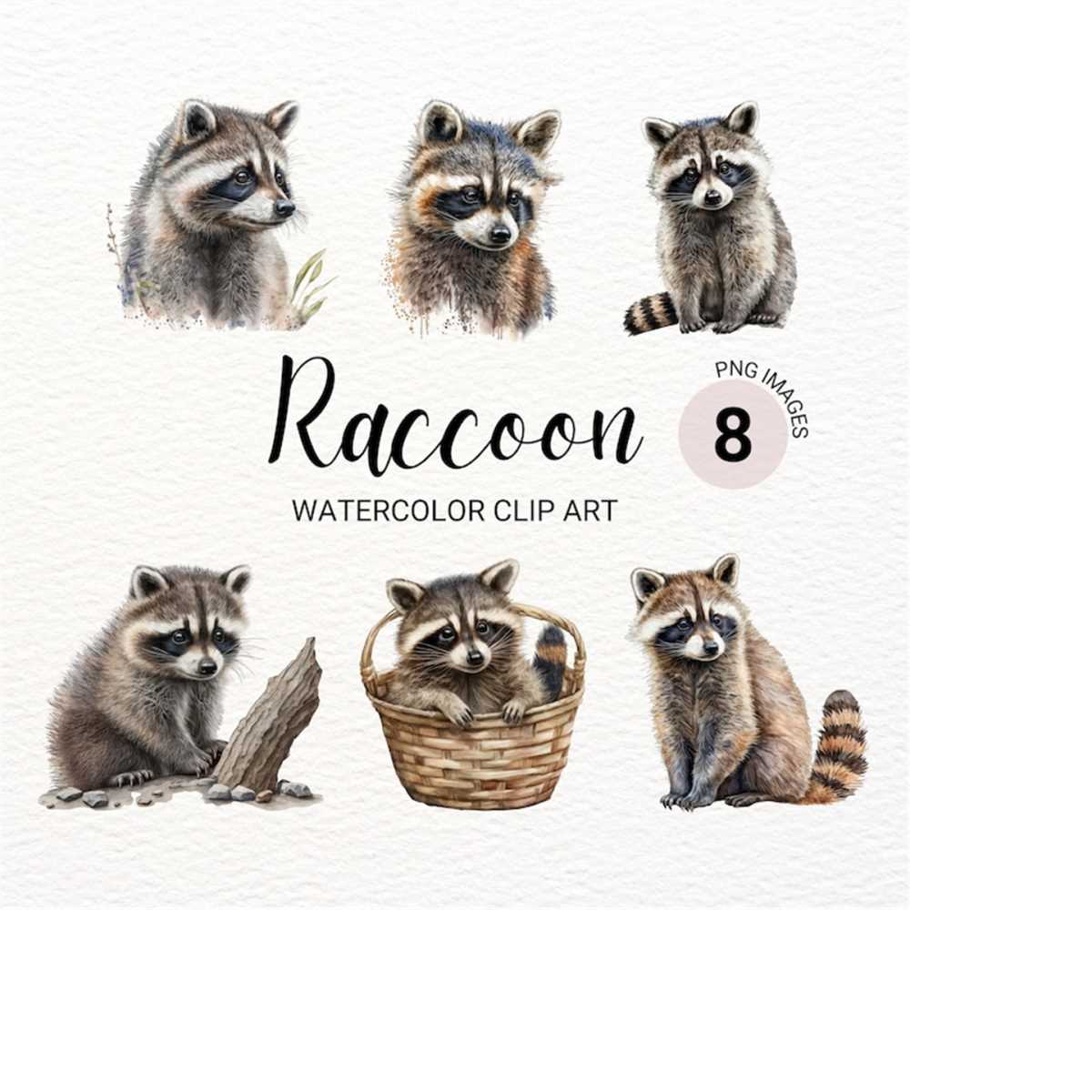 Raccoon Clipart | Watercolor Woodland Animals Clipart | Baby | Inspire ...
