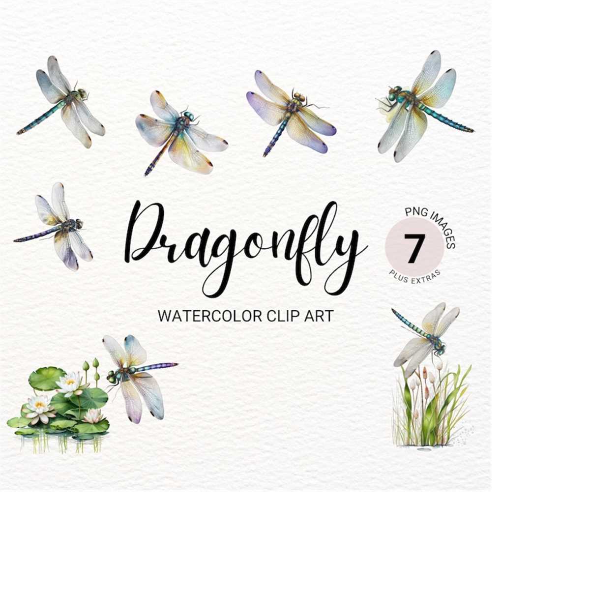 Dragonfly Watercolor PNG | Watercolor Dragonfly Clipart | Dr | Inspire ...