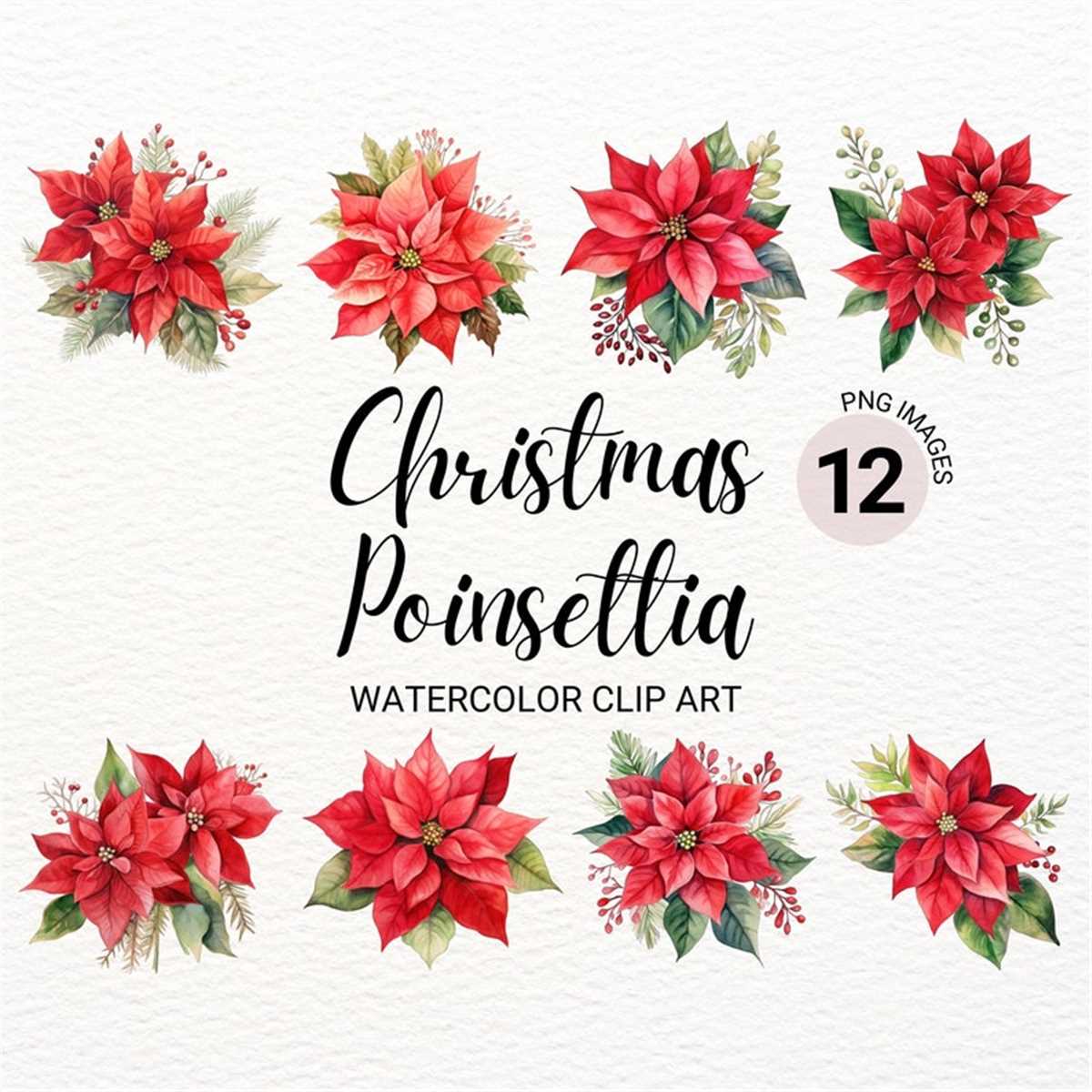 Christmas Poinsettia Clipart | Watercolor Red Flowers Clipar | Inspire ...