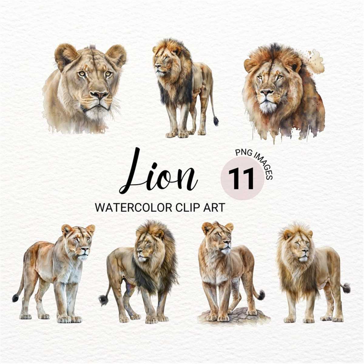 Lion Clipart | Watercolor Lion PNG | Safari Animals Clipart | Inspire ...
