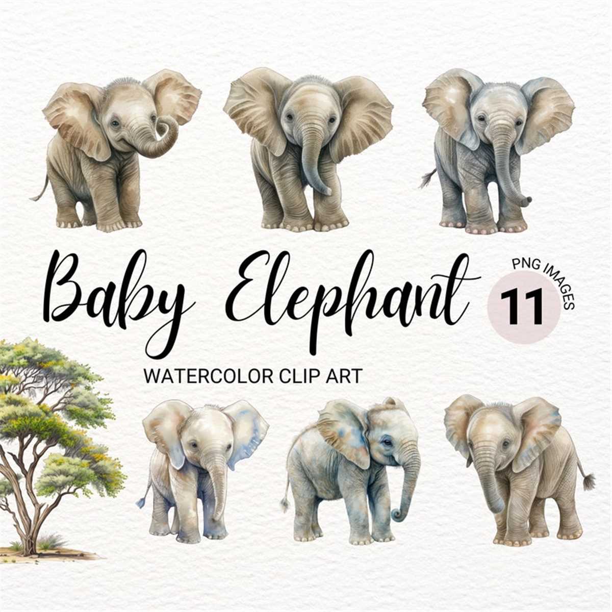 Baby Elephant PNG | Baby Animals Clipart | Watercolor Elepha - Inspire ...