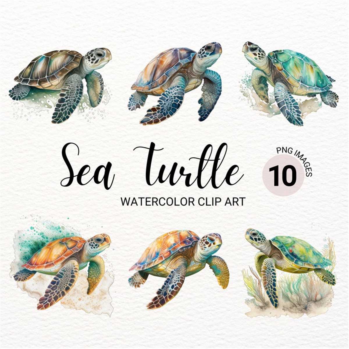 Sea Turtle PNG | Watercolor Sea Turtle Clipart | Sea Animals | Inspire ...