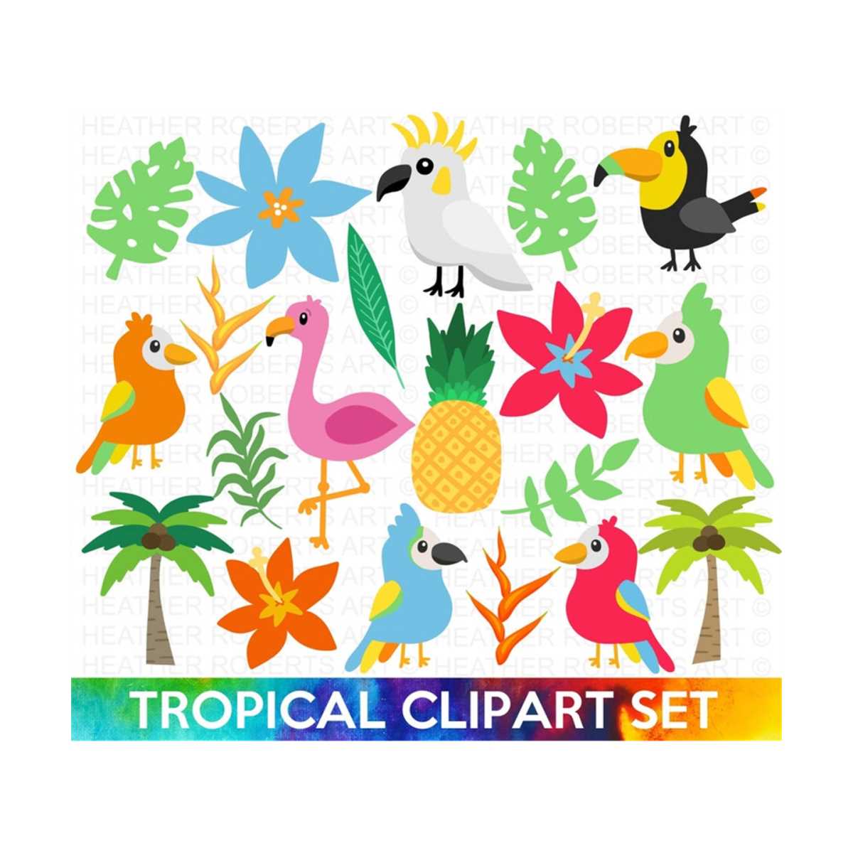 Tropical Birds Summer Clipart Set, Tropical Birds PNG, Cocon - Inspire ...