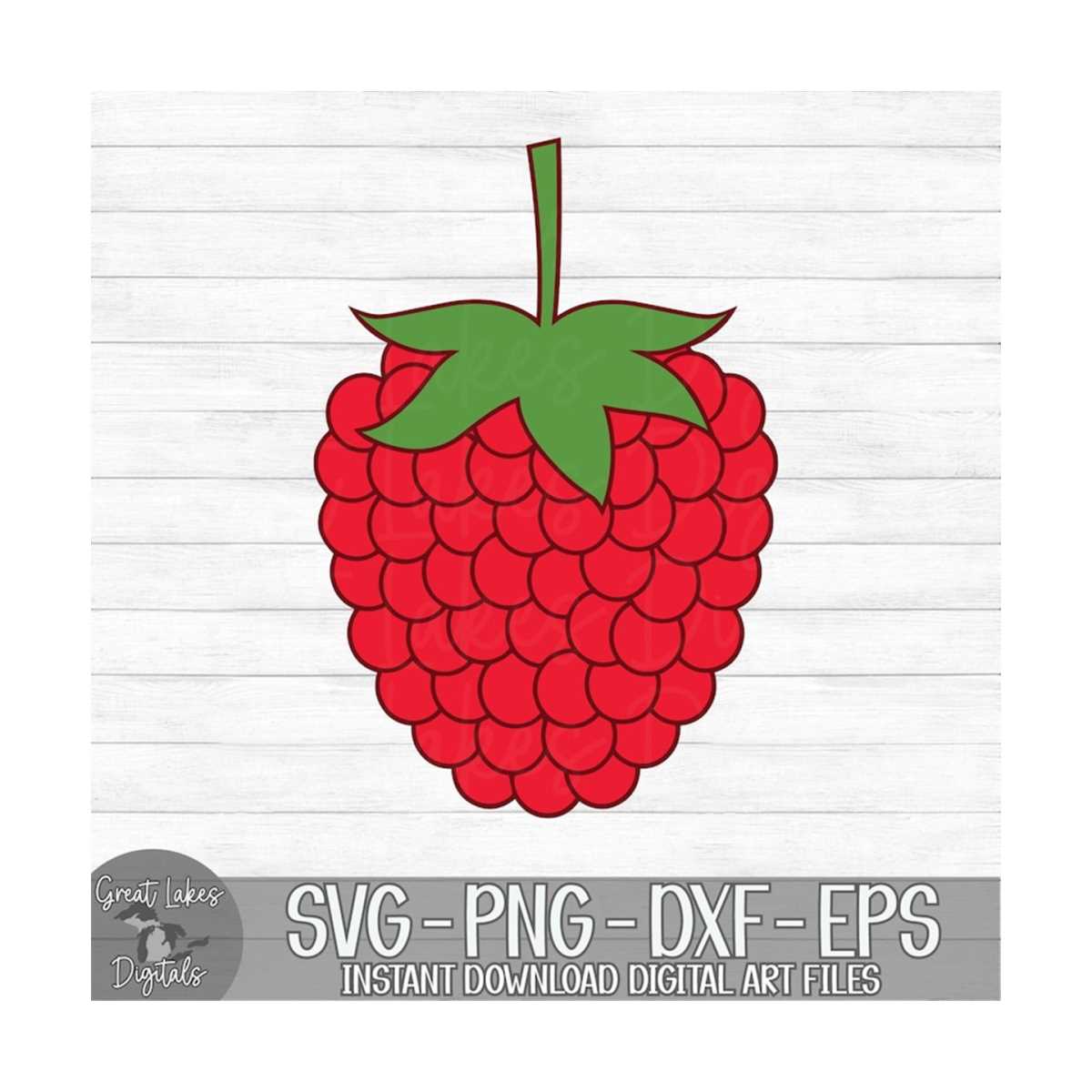 Raspberry - Instant Digital Download - svg, png, dxf, and ep | Inspire ...