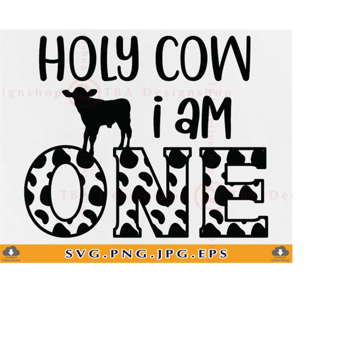 Holy Cow I am One SVG, Cow Birthday SVG,1st Birthday Boy SVG | Inspire ...