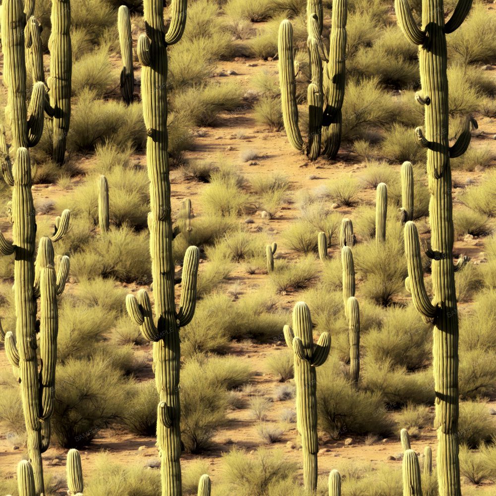 Saguaro Desert 42 Pattern Tileable Repeating Pattern - Inspire Uplift