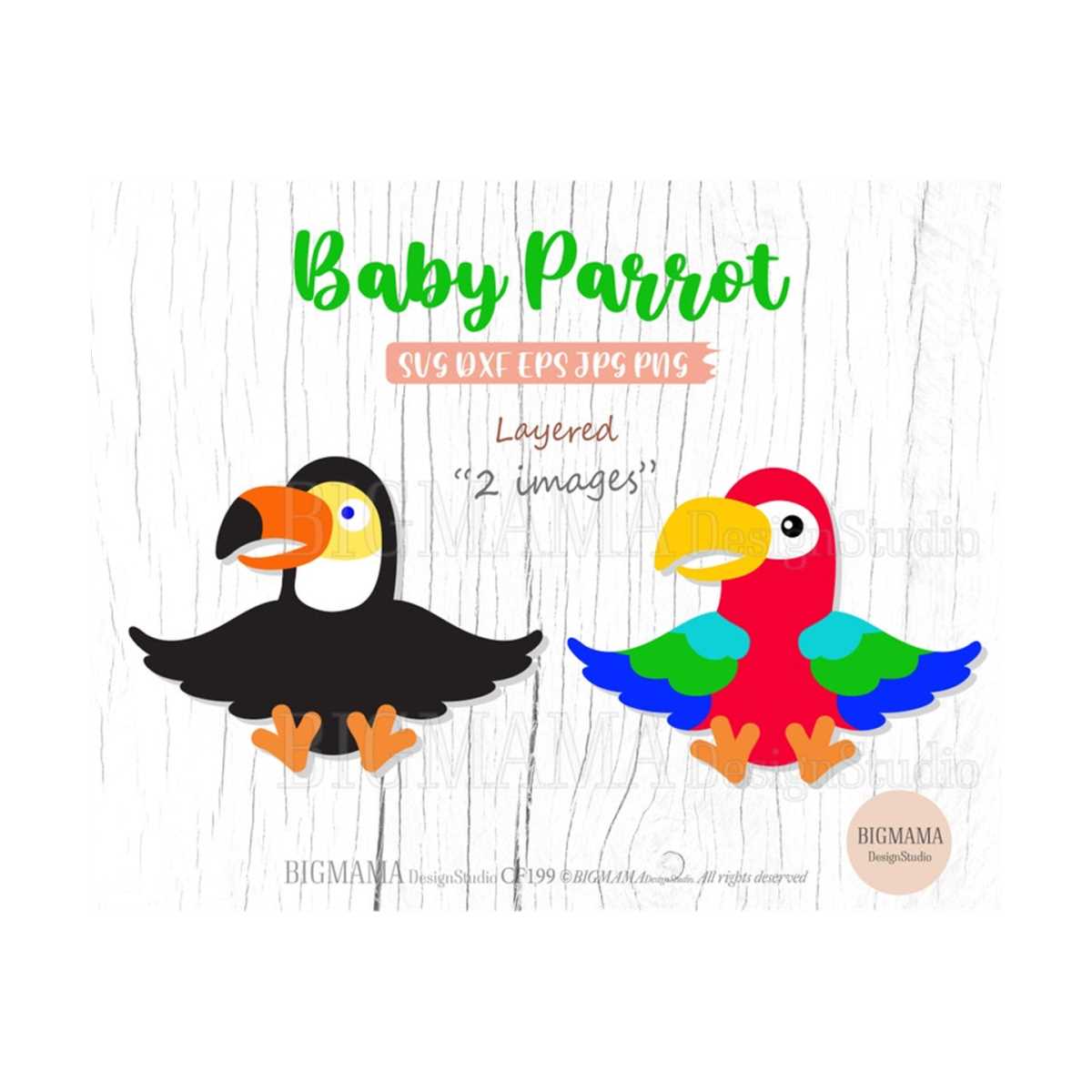 Baby Parrot SVG,Parrots Svg For Cricut,Cut File,Layered,Bird - Inspire ...
