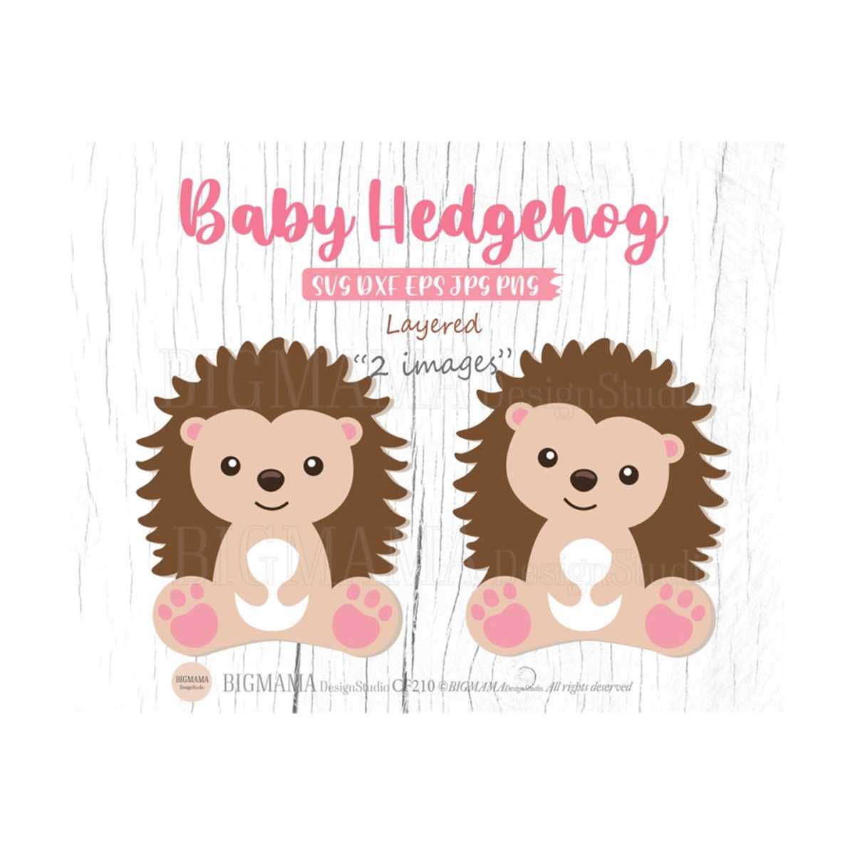 Baby Hedgehog SVG,Woodland Animals,Nursery,Hedgehog Svg File | Inspire ...
