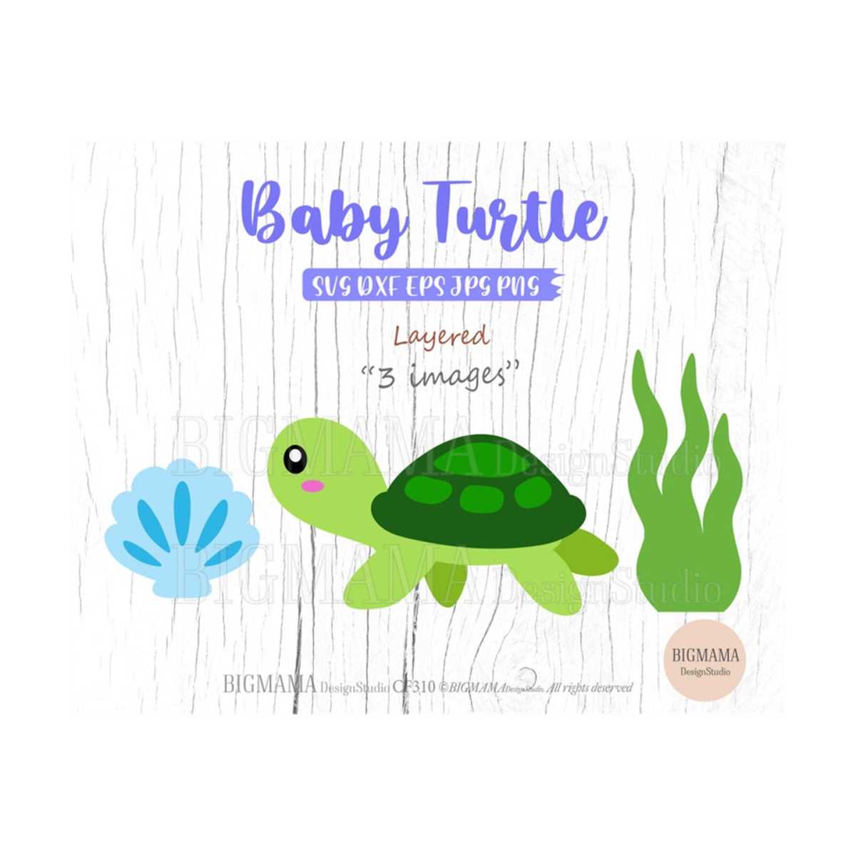 Cute Turtle SVG,Baby,Layered,DXF,Sea Animal,Birthday,Turtle - Inspire ...