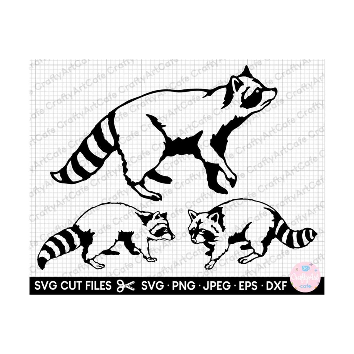 racoon svg raccoon svg racoon png raccoon png racoon clipart | Inspire ...