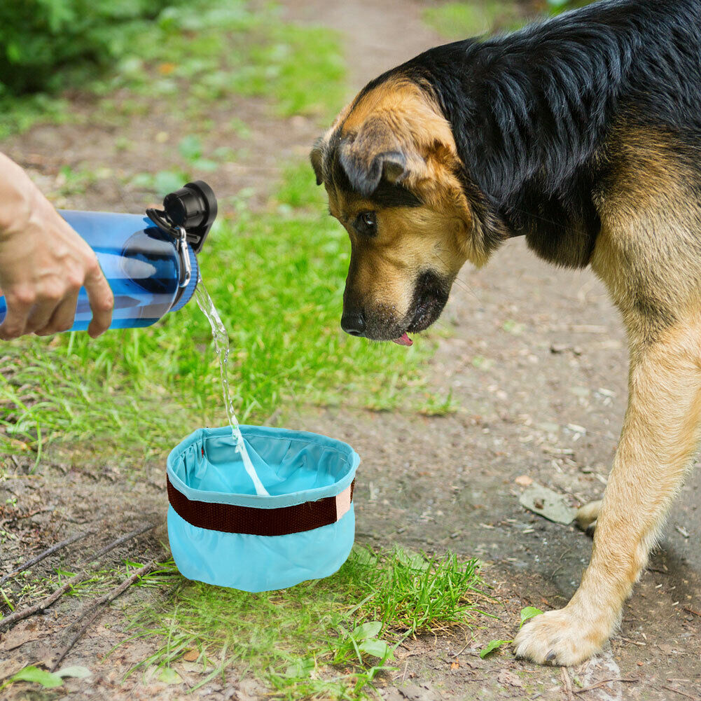 Portable Dog Water & Food Dispenser | Inspire Uplift