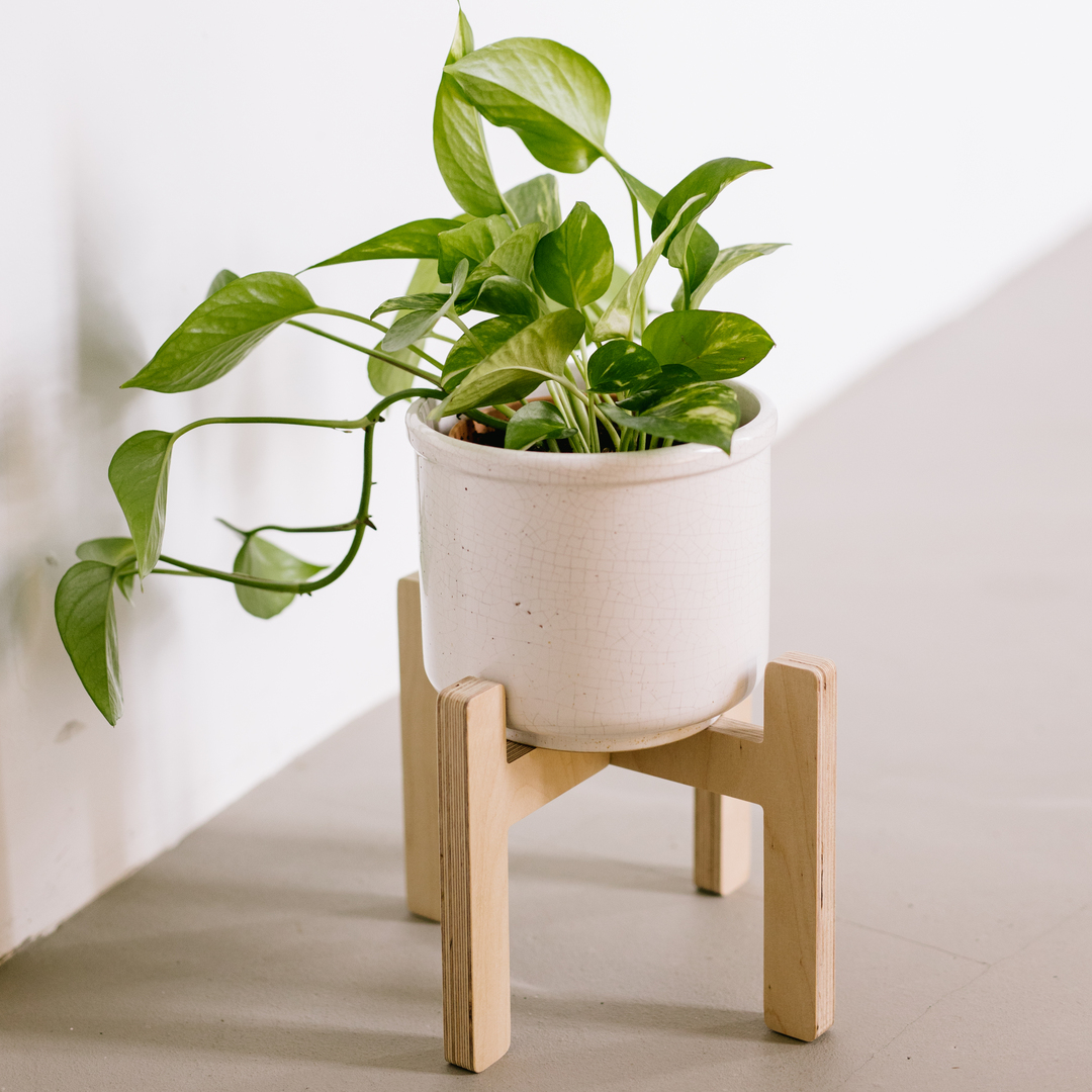 Planter stand - LA SELVA - Inspire Uplift