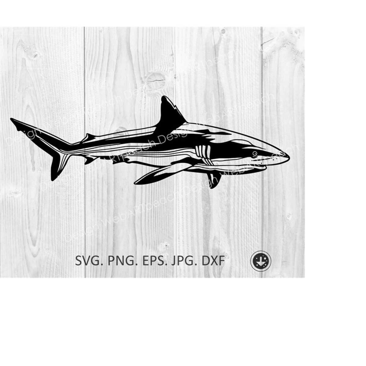 Shark SVG, Shark Clipart, Sharks Mascot Svg, Shark Png Great | Inspire ...
