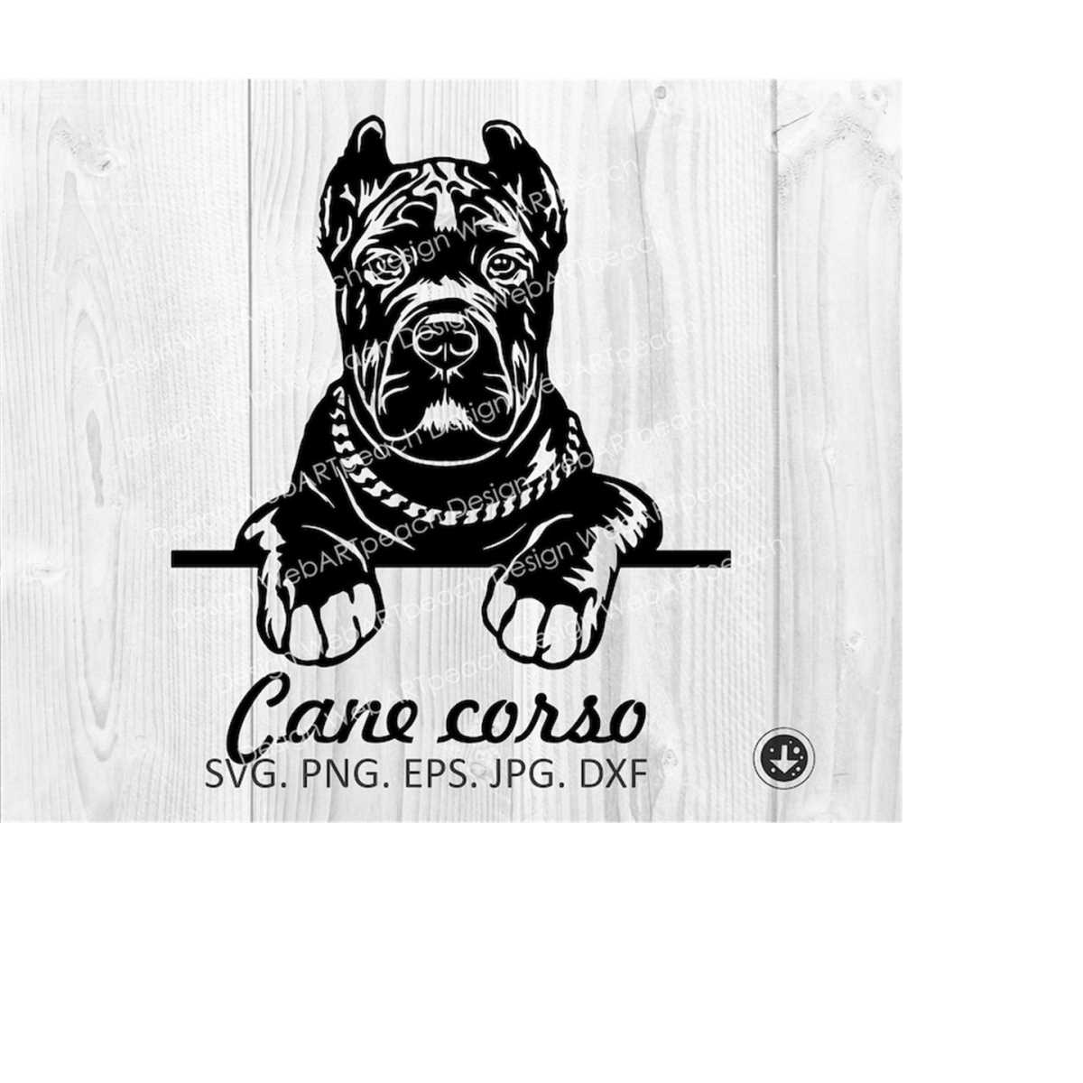 Cane Corso Svg,Peeking Dog Svg, Cane Corso Puppy Cut Files, - Inspire ...