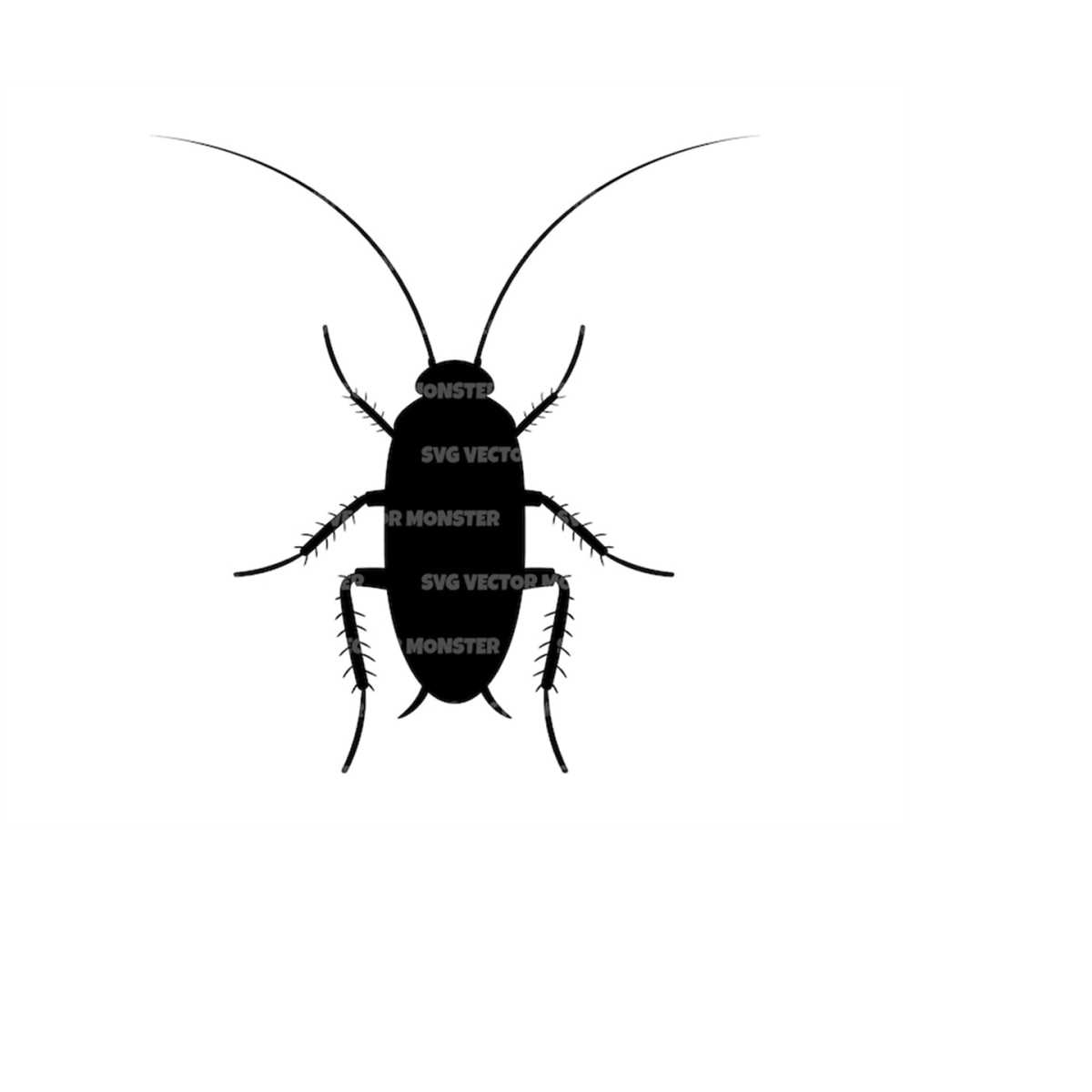Cockroach Svg, Insect Svg, Bug Svg. Vector Cut file for Cric - Inspire ...