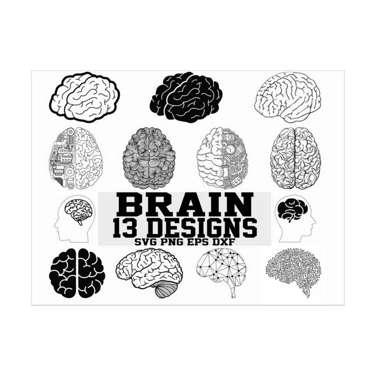 Brain svg/ human brain svg/ organ svg/ clipart/ decal/ stenc | Inspire ...