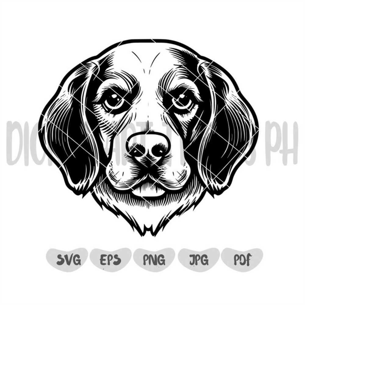 BEAGLE SVG, BEAGLE Clipart, Beagle Svg Files For Cricut, Bea | Inspire ...