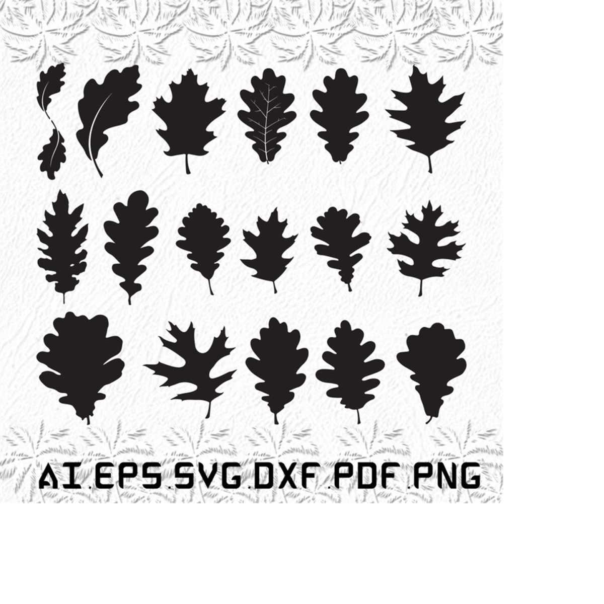 Oak Leaves svg, Leavess svg, Oak svg, Leaf, Tree, SVG, ai, p - Inspire ...
