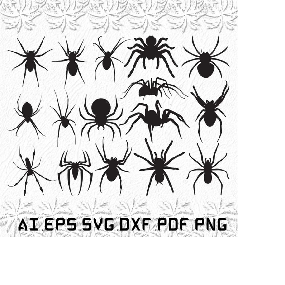 Spider svg, Spiders svg, Spider man svg, man, woman, SVG, ai | Inspire ...