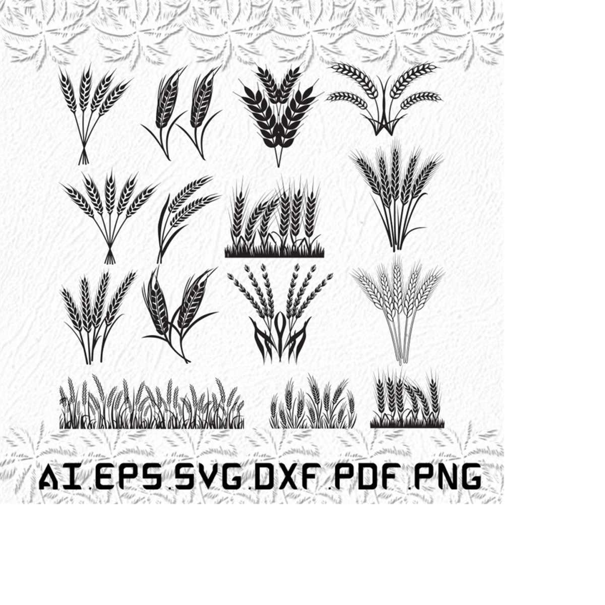 Wheat svg, Wheats svg, nature svg, green, happy, SVG, ai, pd | Inspire ...