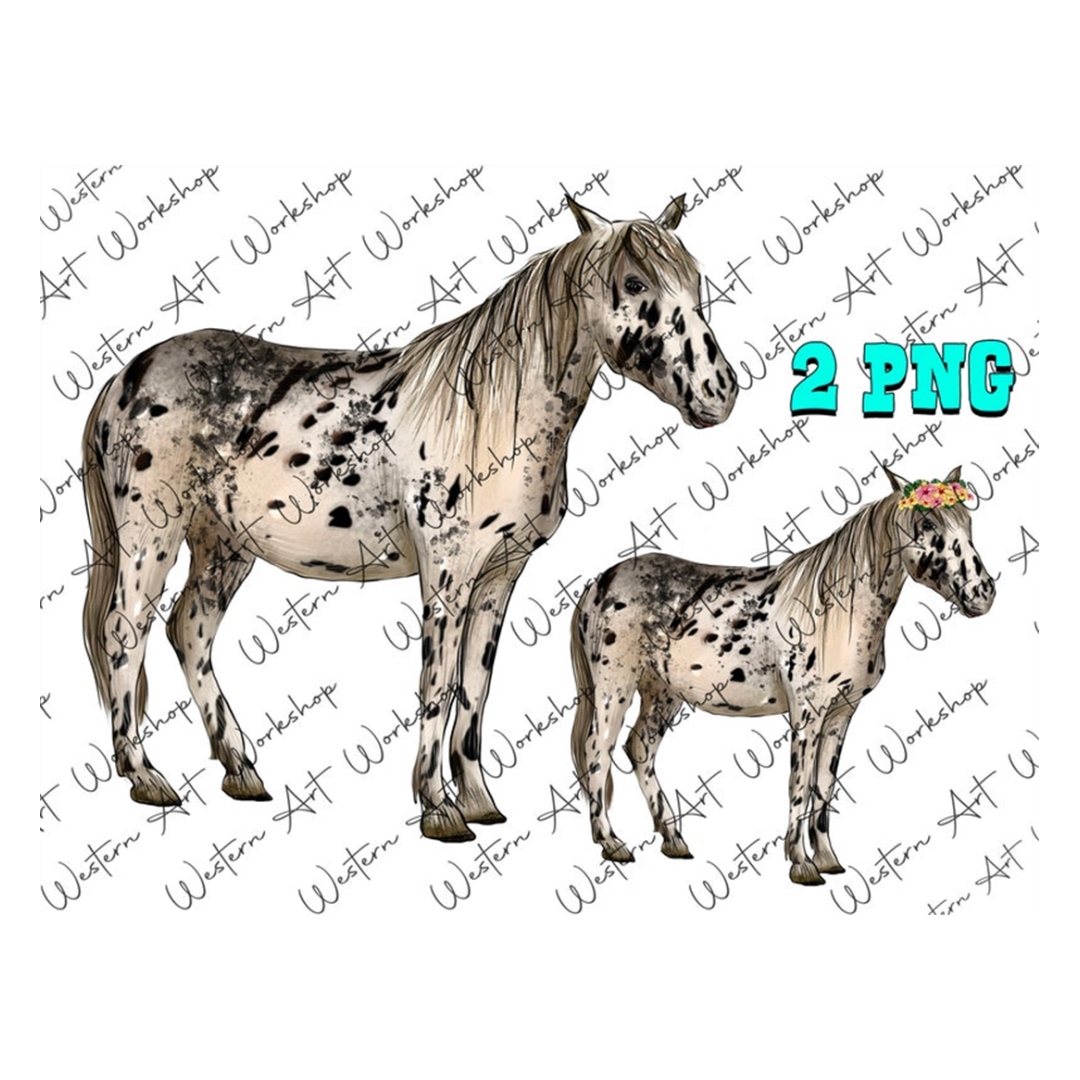 Appaloosa Horse Png, Horse Png, Horse Png Sublimation Design | Inspire ...