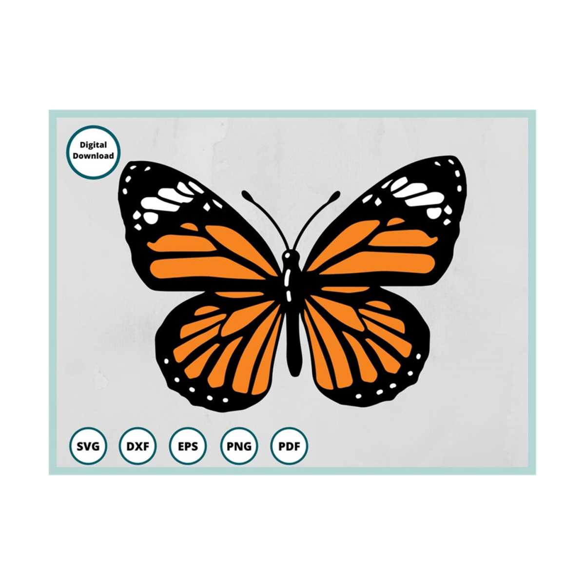 Butterfly SVG | Butterfly SVG File | Layered Butterfly SVG | - Inspire ...