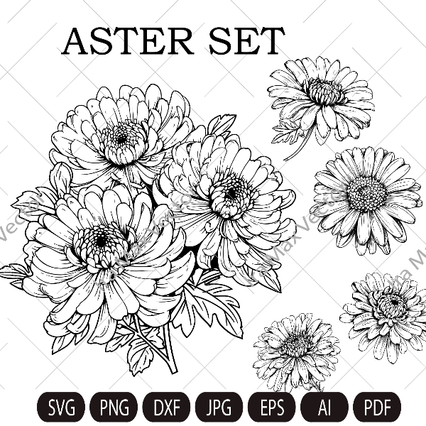 Aster flowers svg, Garden Flower SVG, Floral SVG, svg files, | Inspire ...