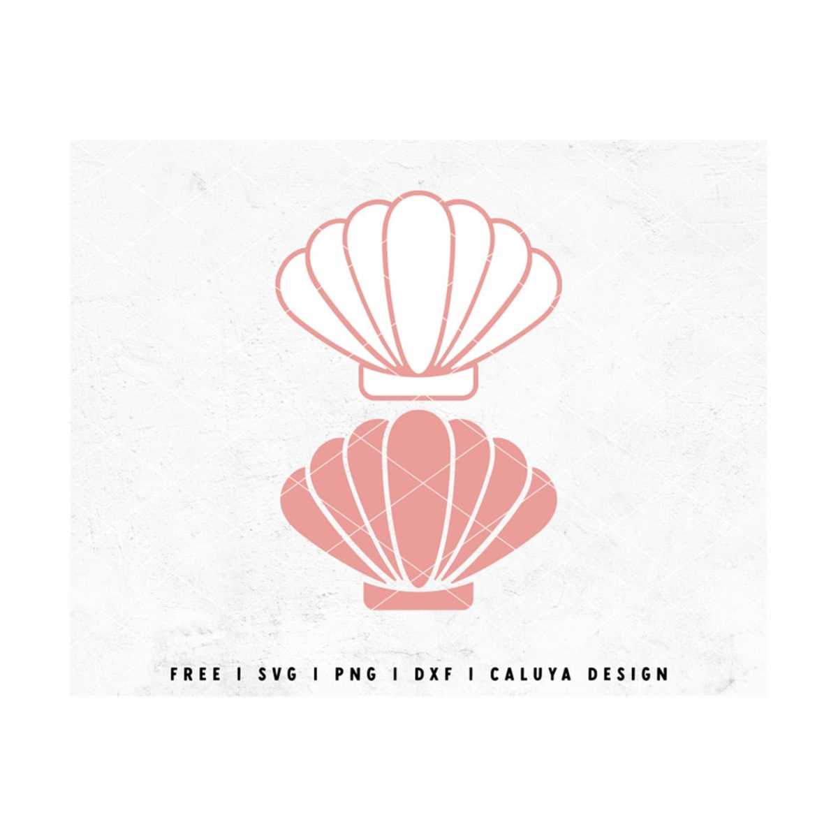 Seashell SVG | Sea Shell SVG | Mermaid svg | Summer SVG | B | Inspire ...