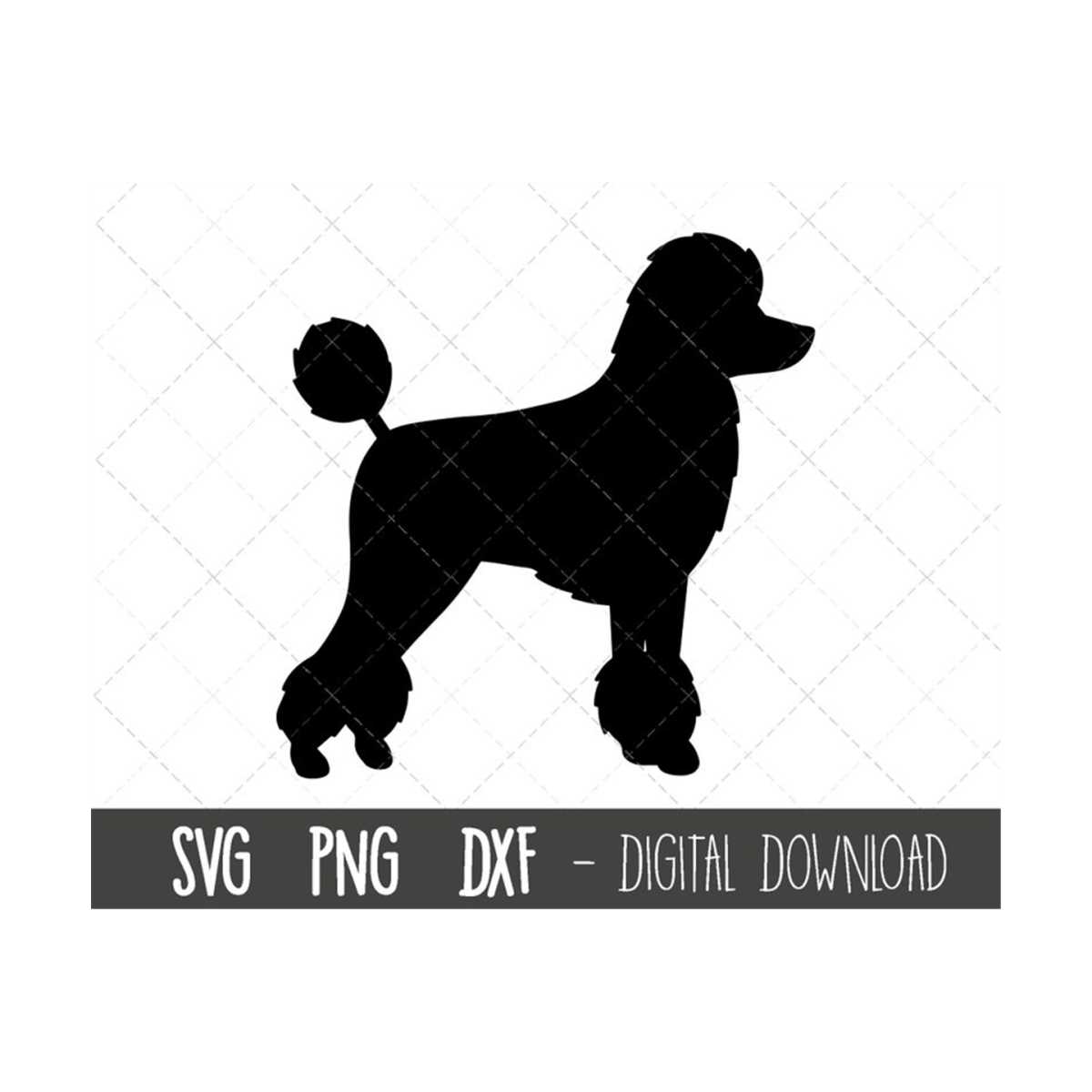 Poodle svg, dog svg, Poodle silhouette, Poodle outline png, | Inspire ...