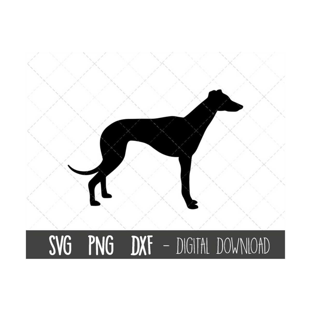 Greyhound svg, dog svg, Greyhound silhouette, Greyhound outl - Inspire ...