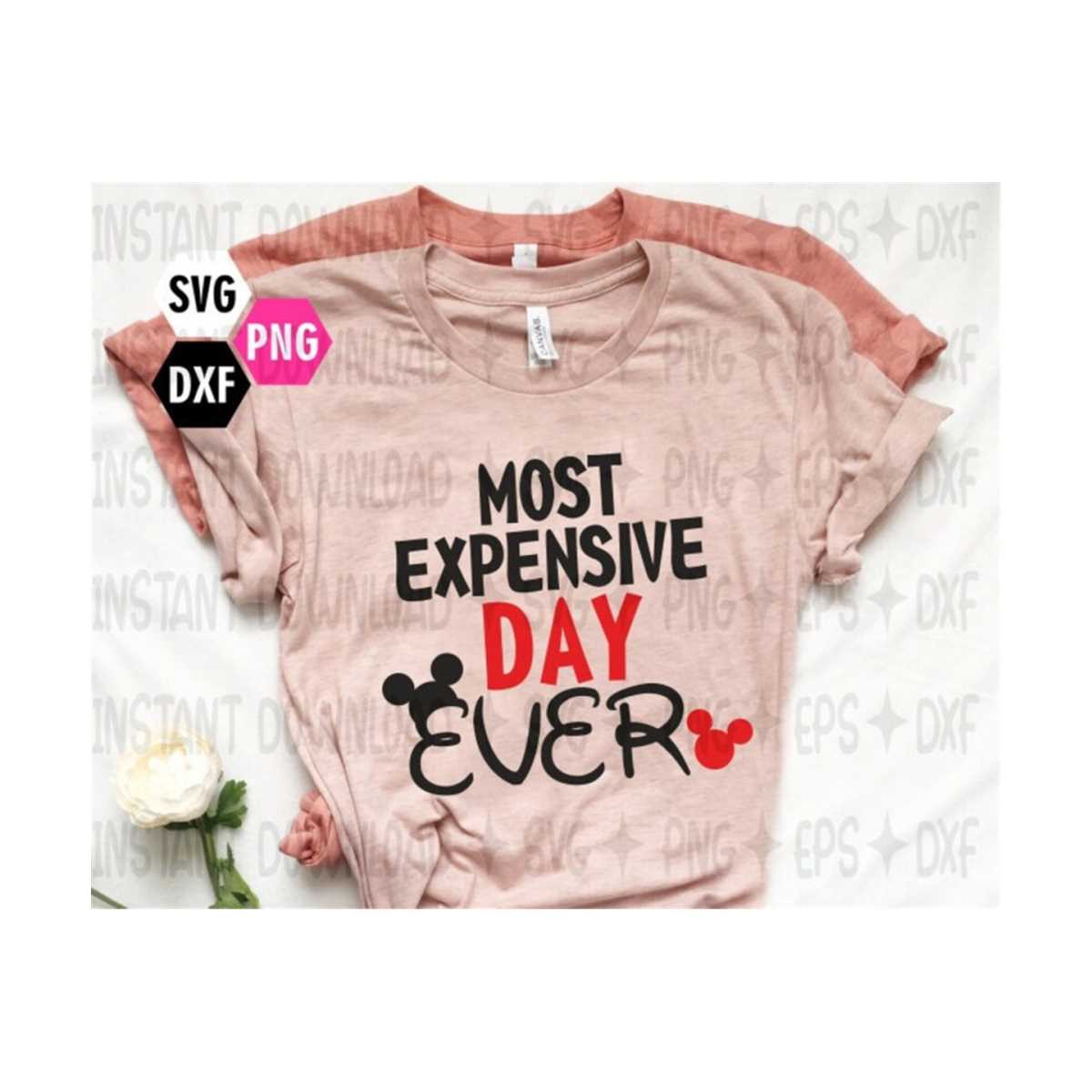 Most Expensive Day Ever SVG / birthday SVG / Best day ever M | Inspire ...