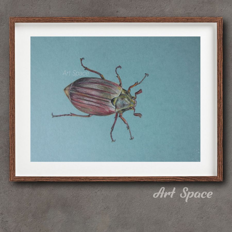 Original Painting "Cute bug" Melolontha, for Office, insect, - Inspire ...