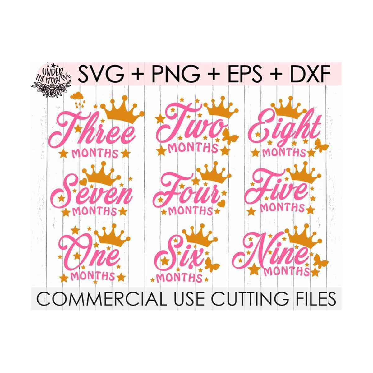 Princess Age Months SVG Cutting File / Baby Months SVG Cutti | Inspire ...