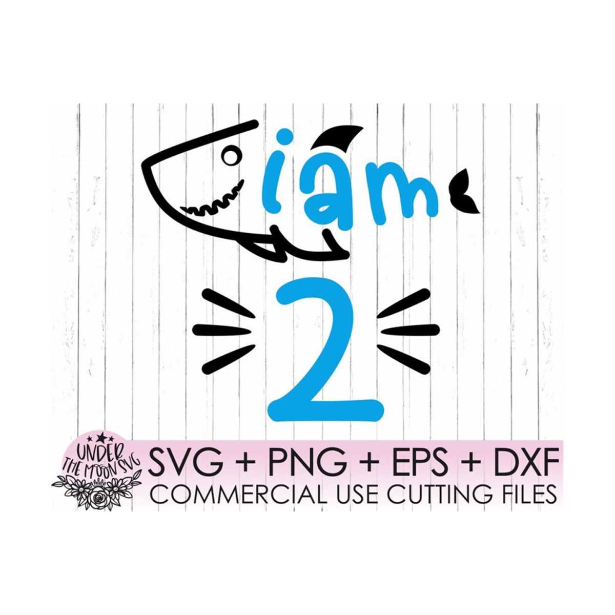 Boy Birthday Shark Svg, Shark 2nd Birthday Svg, Baby, Shark | Inspire ...