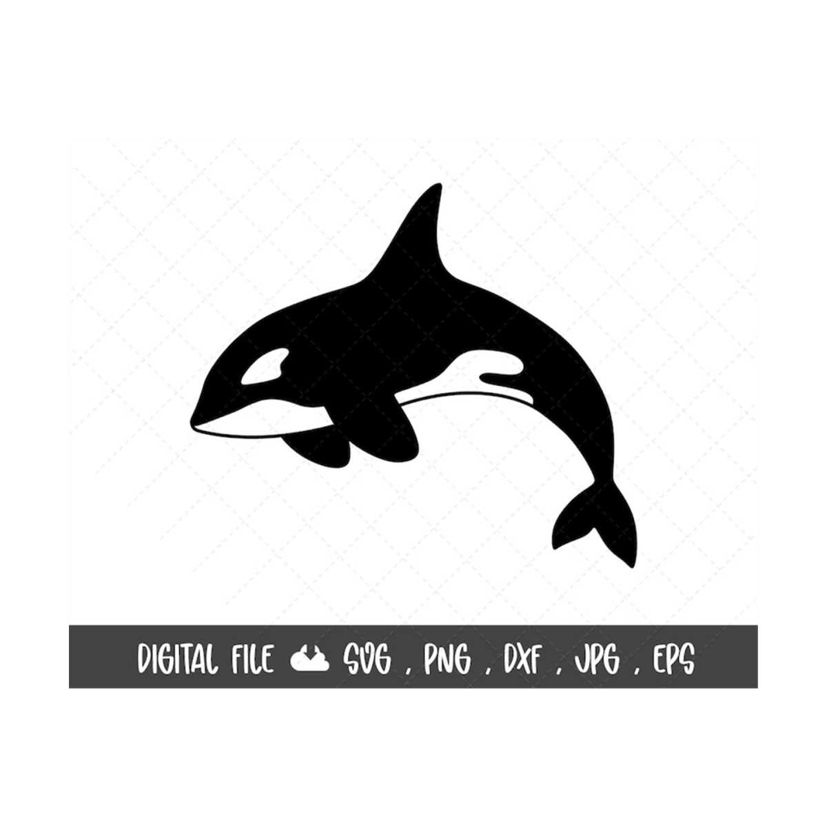 Whale SVG, Orca Whale Svg, Killer Whale Svg, Whale Clip art, - Inspire ...