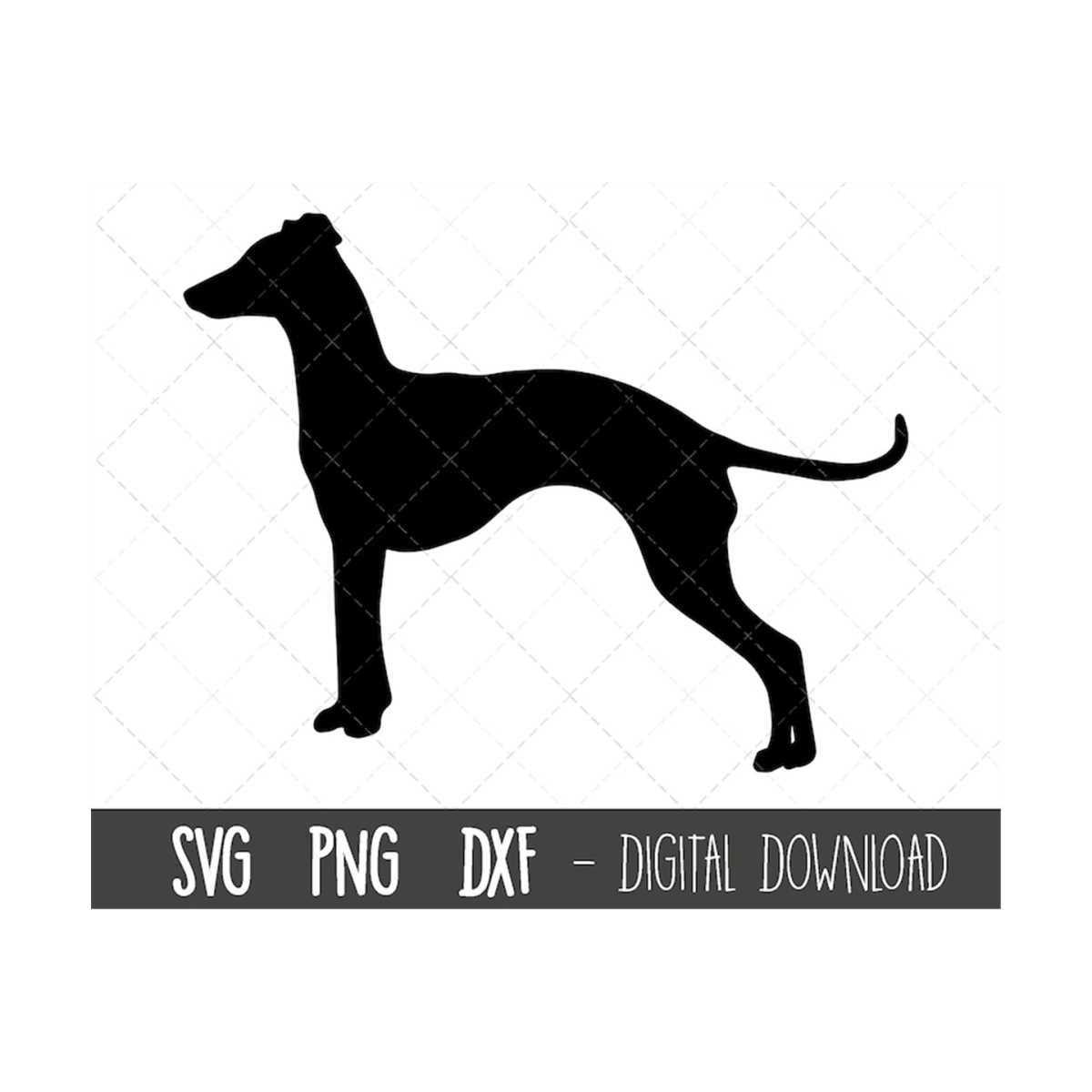 Italian Greyhound svg, dog svg, Greyhound silhouette, Greyho - Inspire ...