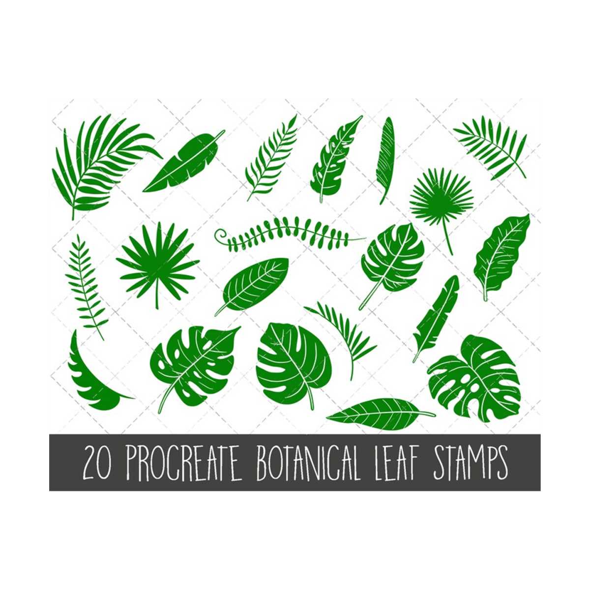 Tropical leaves Procreate Stamps, Jungle Leaves stamp set, B | Inspire ...