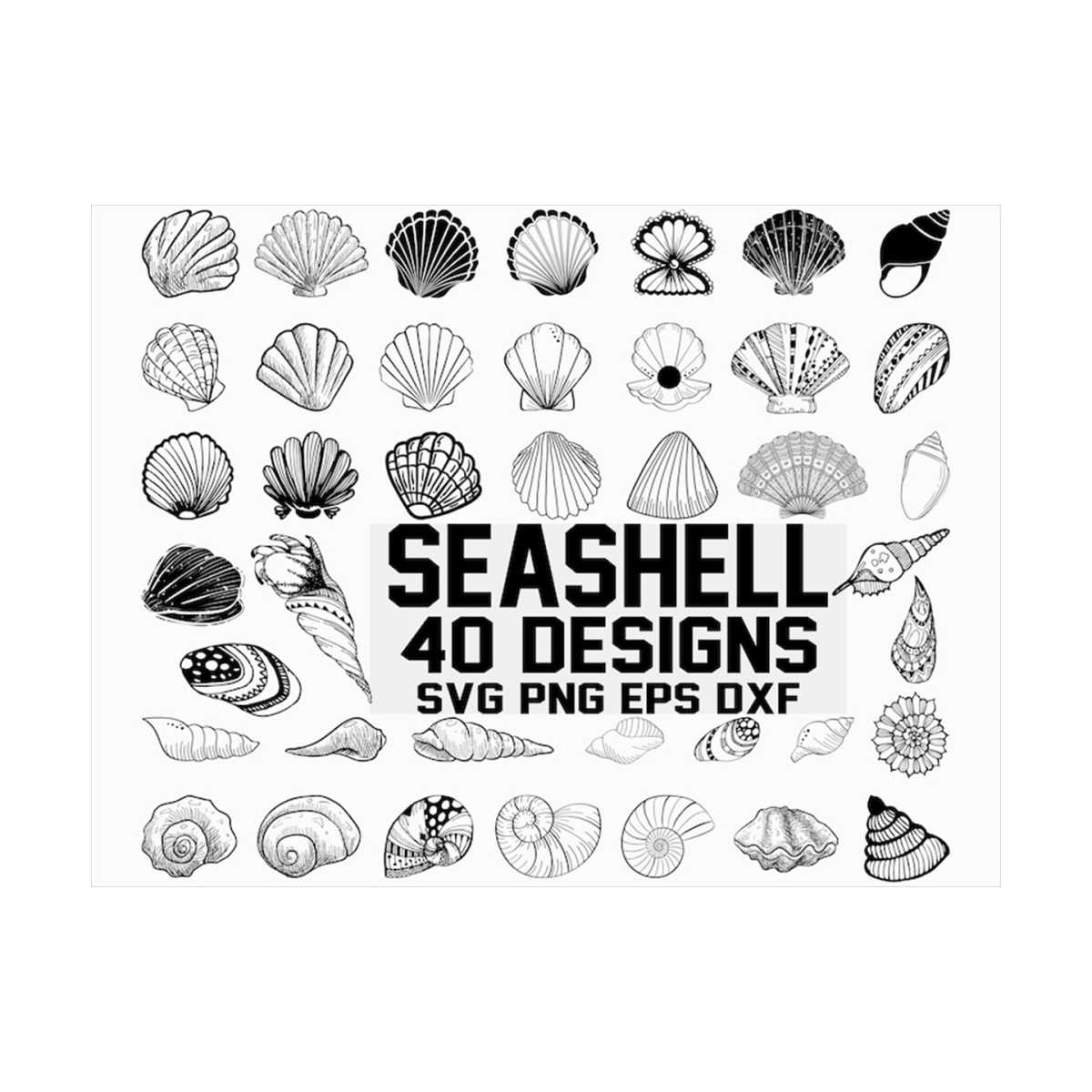 Seashell SVG/ shell svg/ seashell clipart/ clam svg/ scallop | Inspire ...
