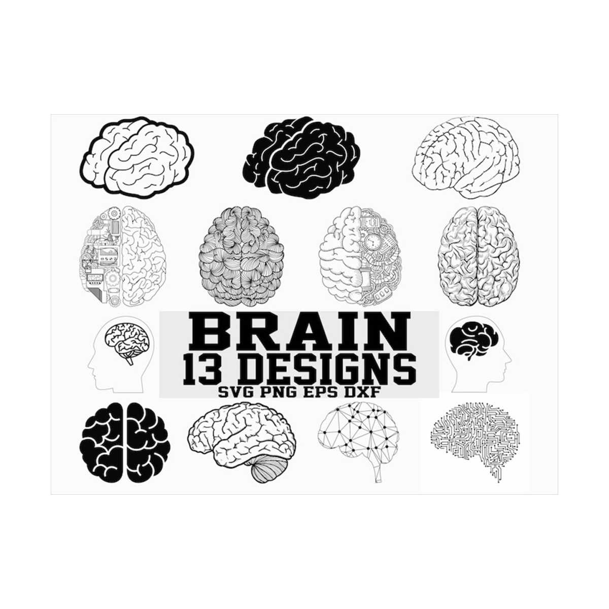 Brain svg/ human brain svg/ organ svg/ clipart/ decal/ stenc | Inspire ...
